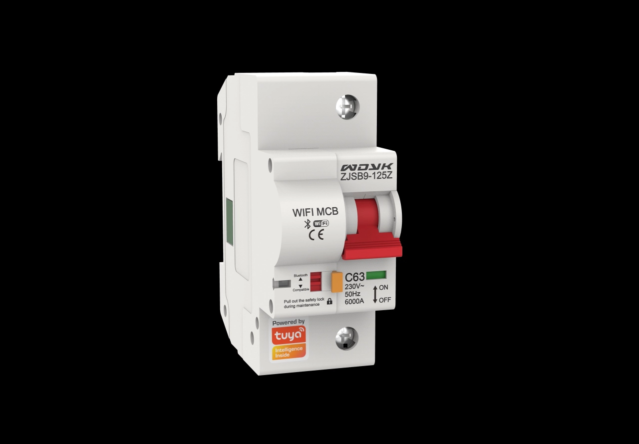 Tuya Smart WIFI Circuit Breaker-TW0-1P - WDYK
